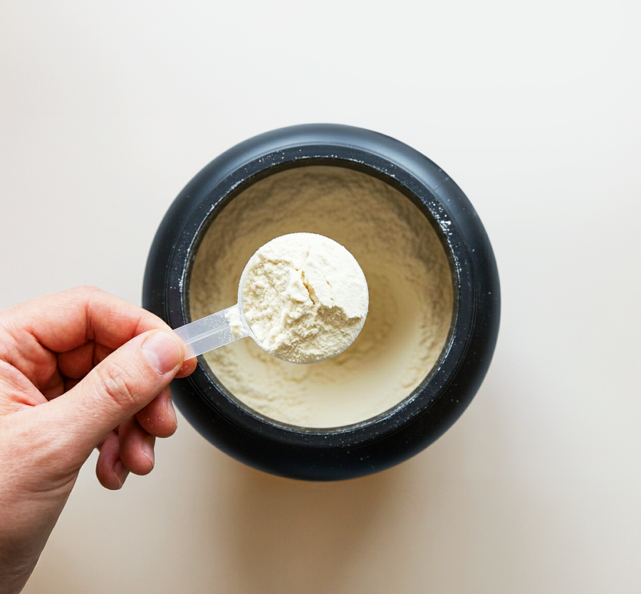 MVP Protein – MVP PROTEIN